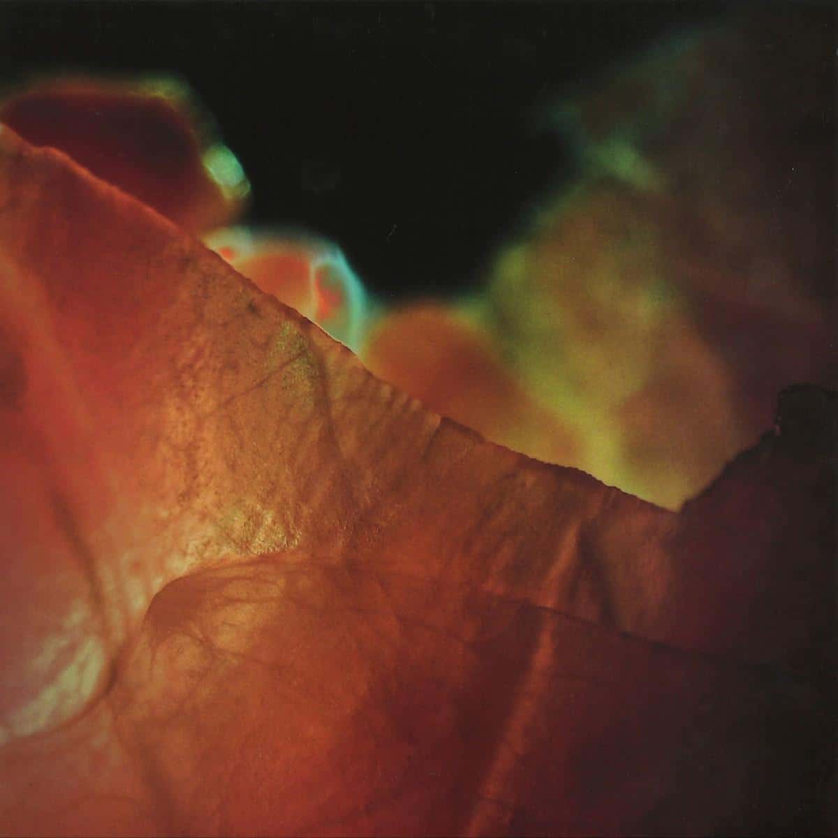 Marcus L - Kimchi Slap [SKIN004] – Second Floor Stuff